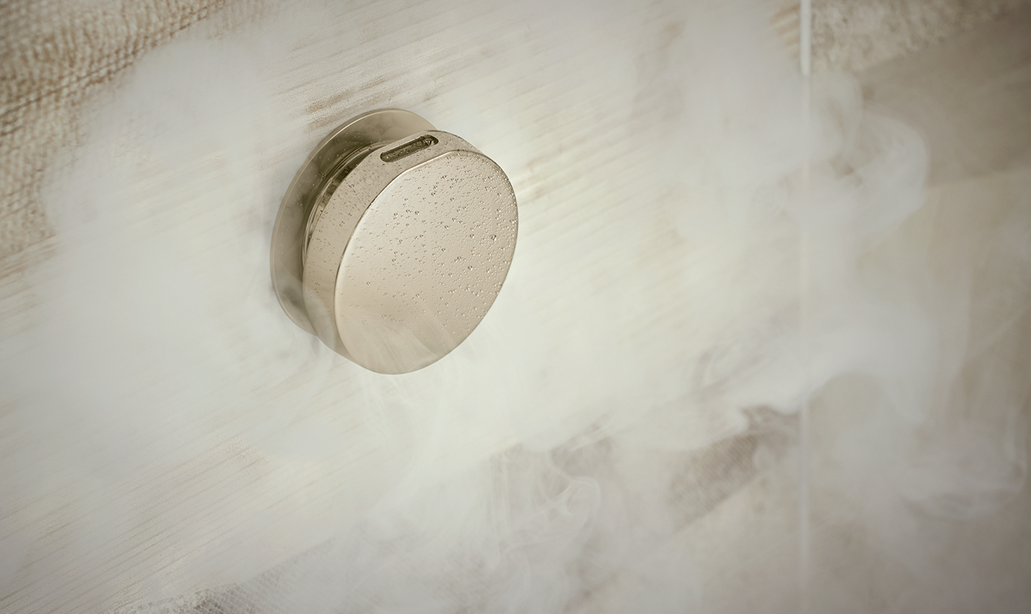 Steam Shower Accessories: Aromatherapy, Chromatherapy, Audio & Controls ...