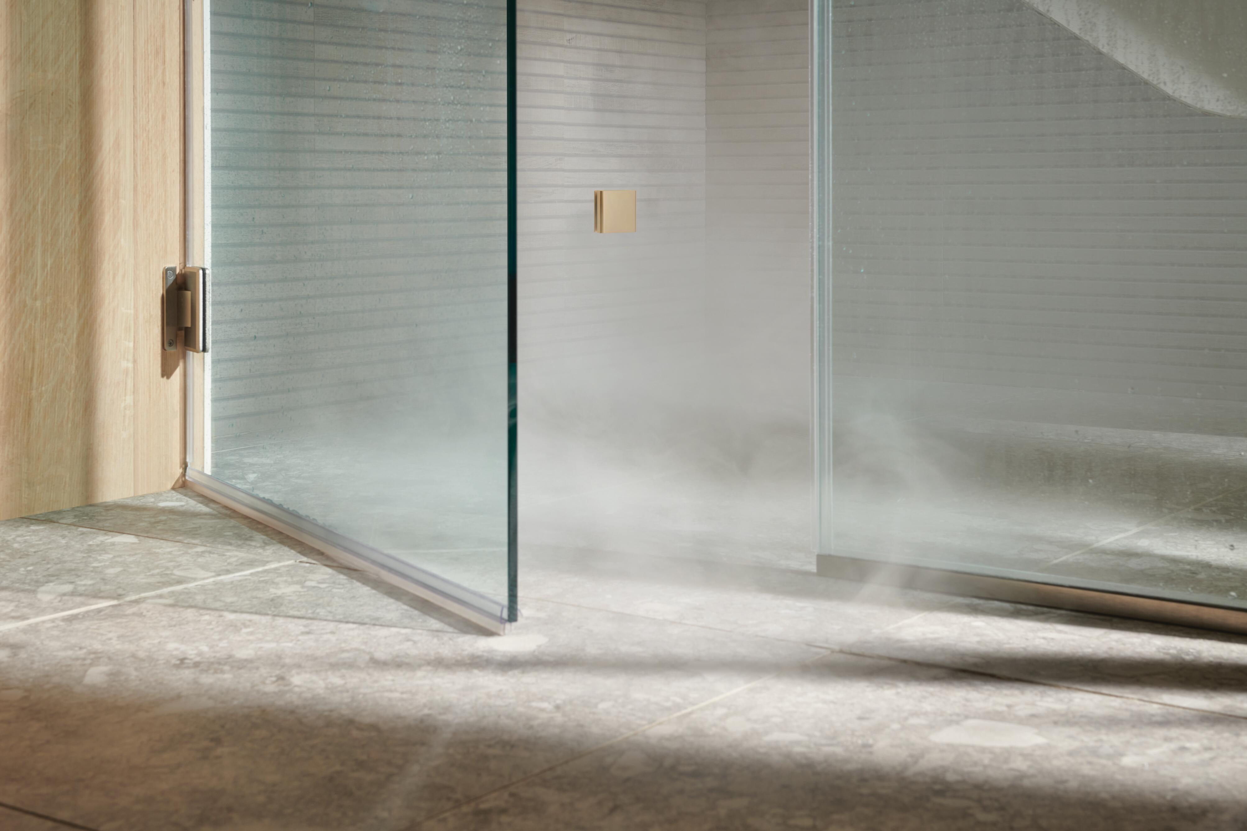 Steam Shower Generators & Accessories | Brizo